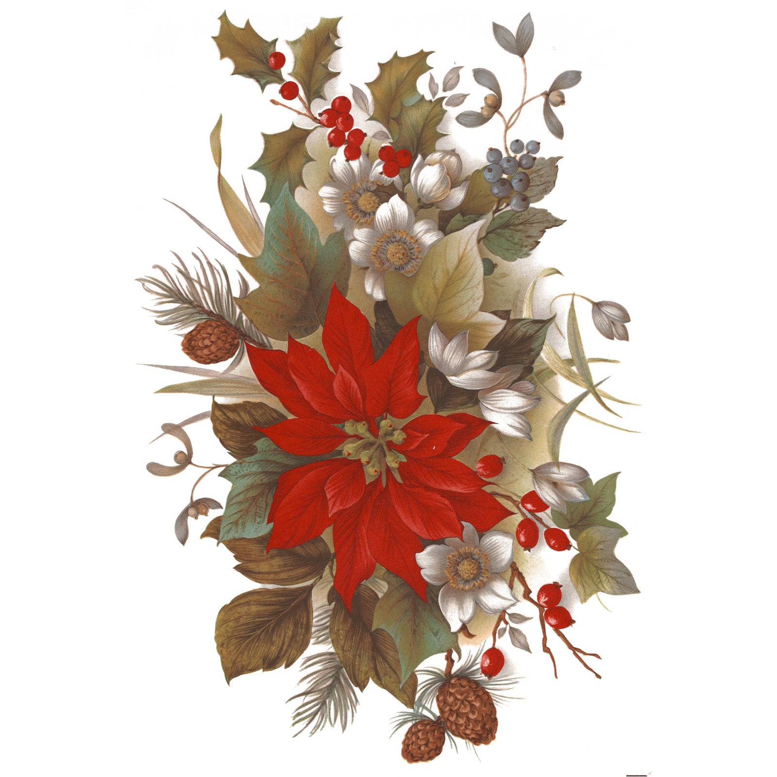 Poinsettia Overglaze Waterslide Ceramic Decals – Captive Decals