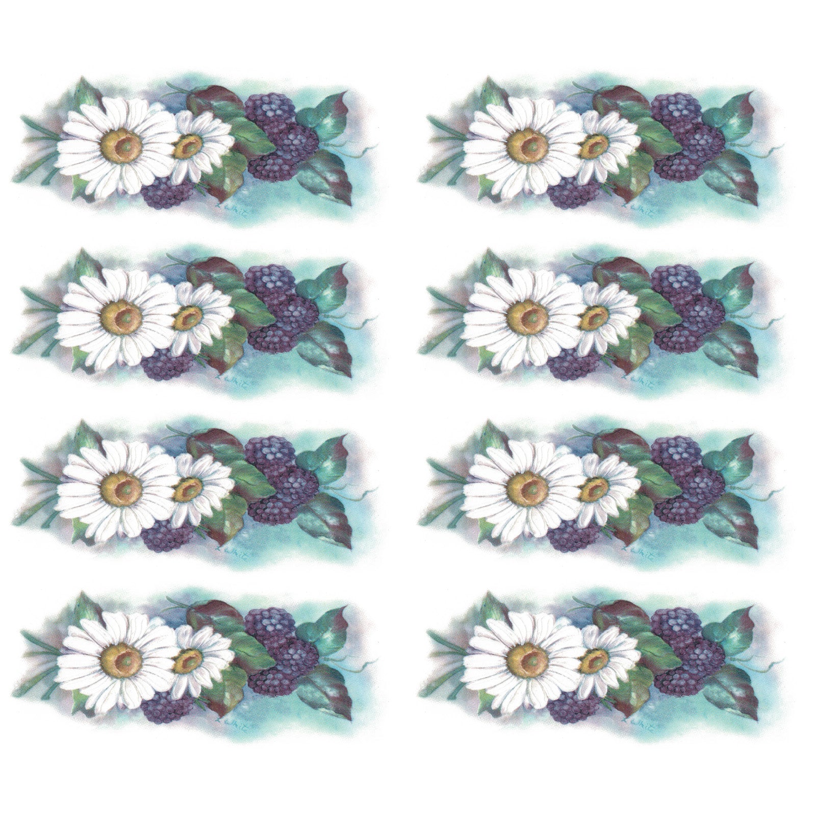 Blackberries Daisy Overglaze Waterslide Ceramic Decals – Captive Decals