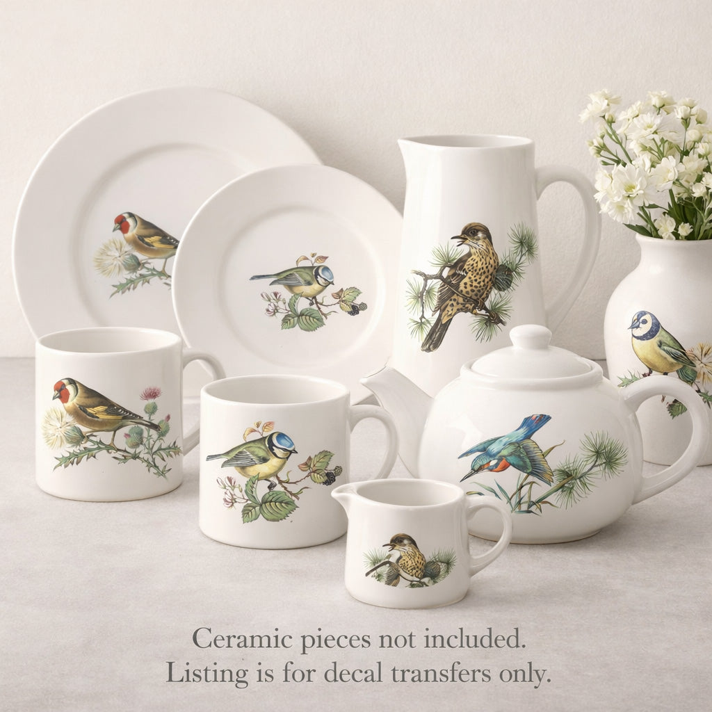 British Birds Thrush Kingfisher Goldfinch Blue Tit Waterslide Ceramic ...